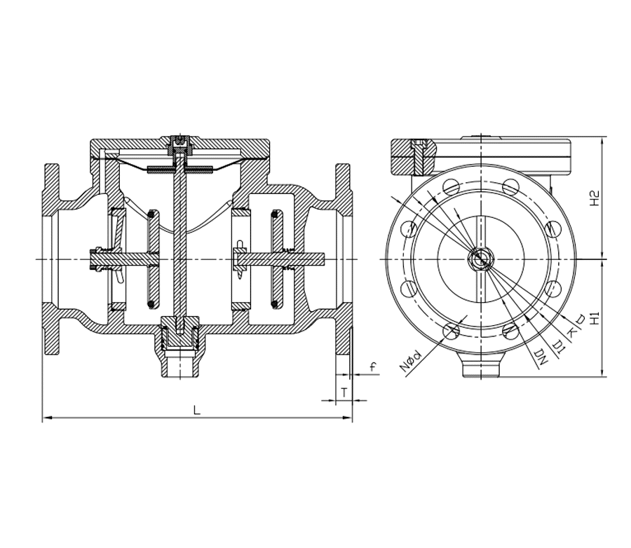 Reduced Pressure Backflow Preventer